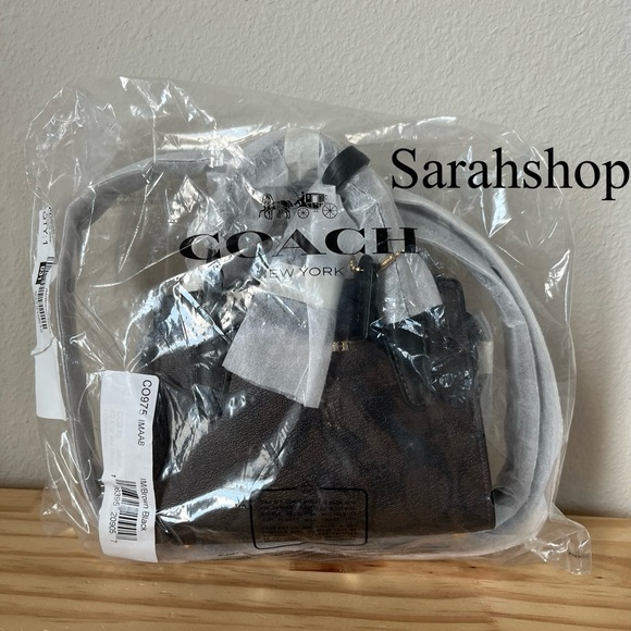 Coach | Bags | Coach Andrea Mini Carryall In Signature | Poshmark